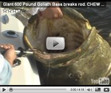 Angler For Ever. How To Catch Big Fish? Watch Online Good Free Video ...